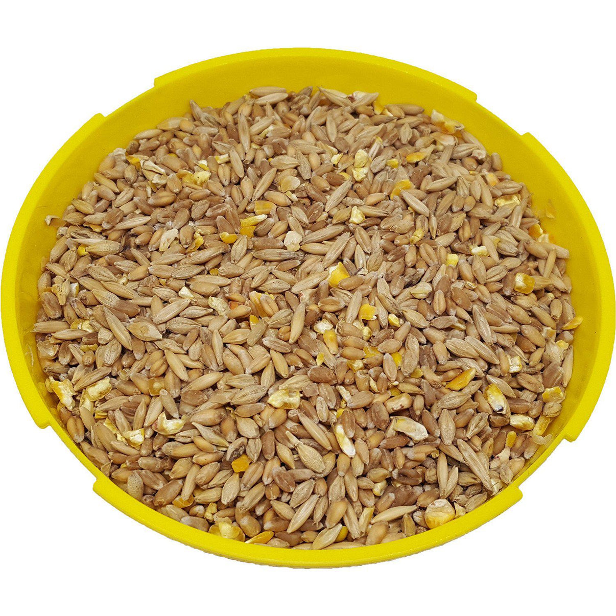 HI-PRO FEEDS® Poultry Feed Classic Hen Scratch – Critter Country Supply ...